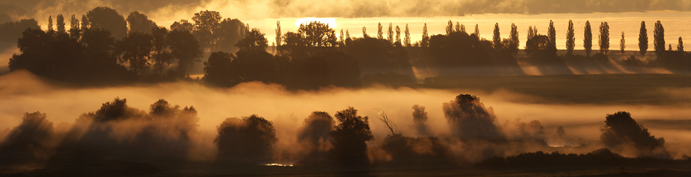Das Aachried bei Radolfzell im Nebel - Sommer 2011
